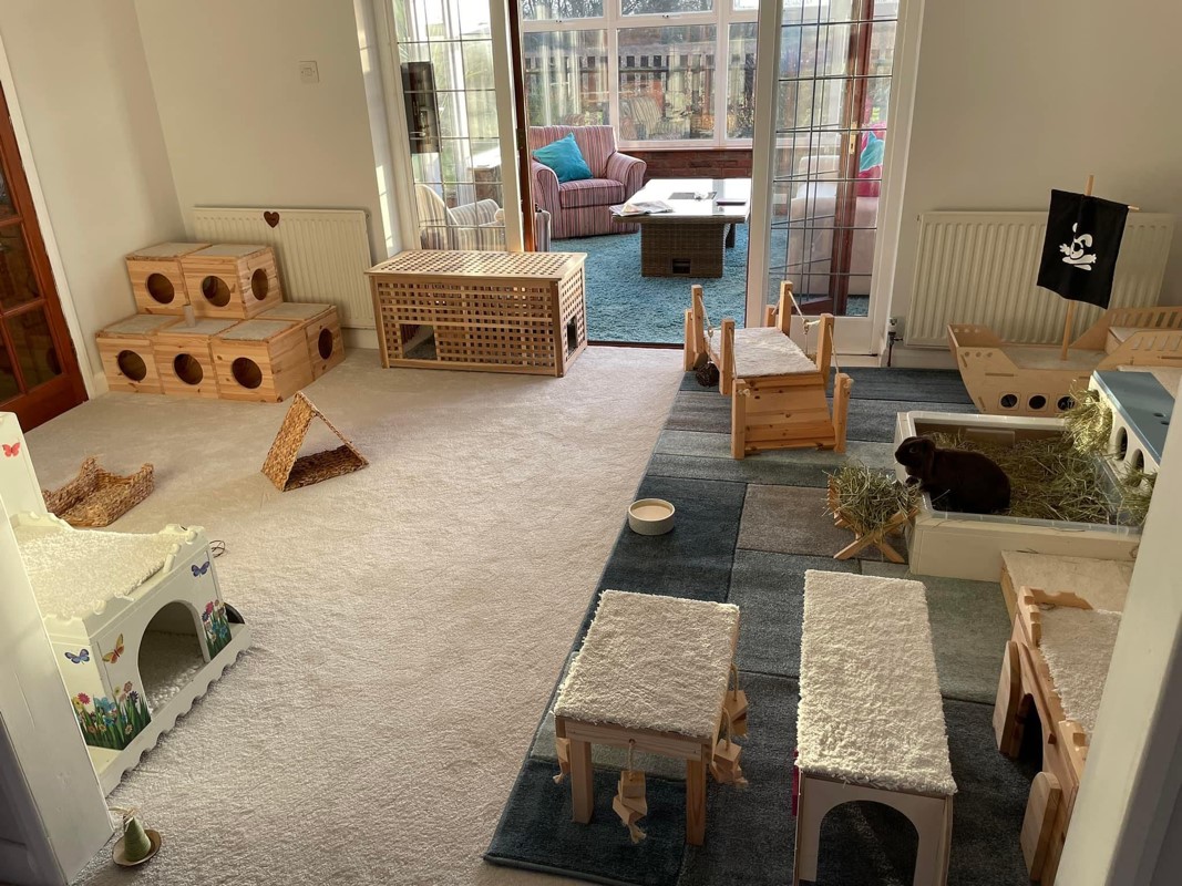 Indoor Rabbits – The Rabbit Residence Rescue