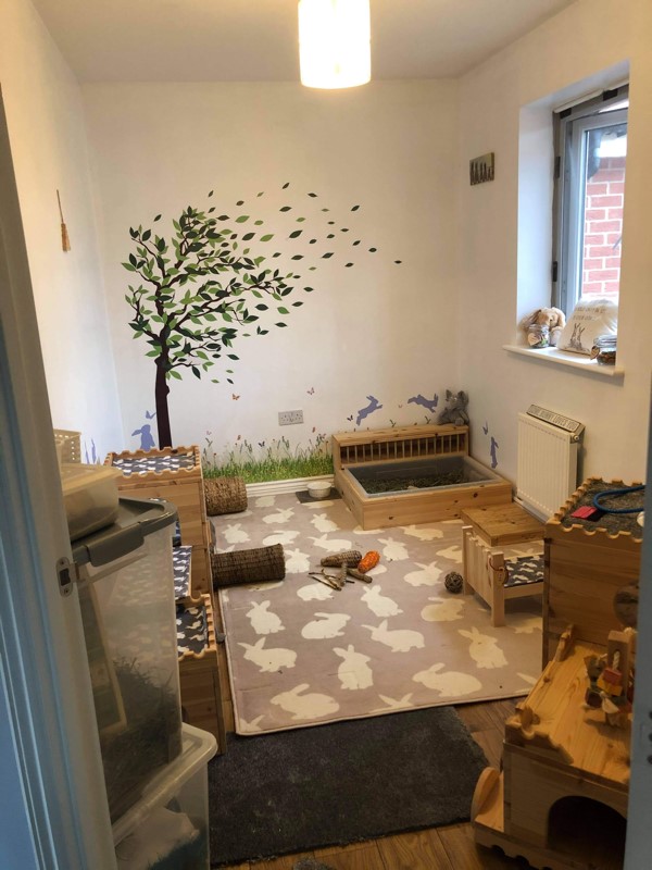 Indoor Rabbits – The Rabbit Residence Rescue