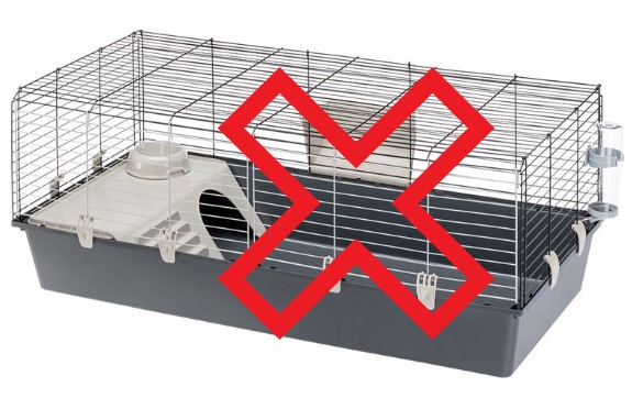 Indoor Rabbits – The Rabbit Residence Rescue