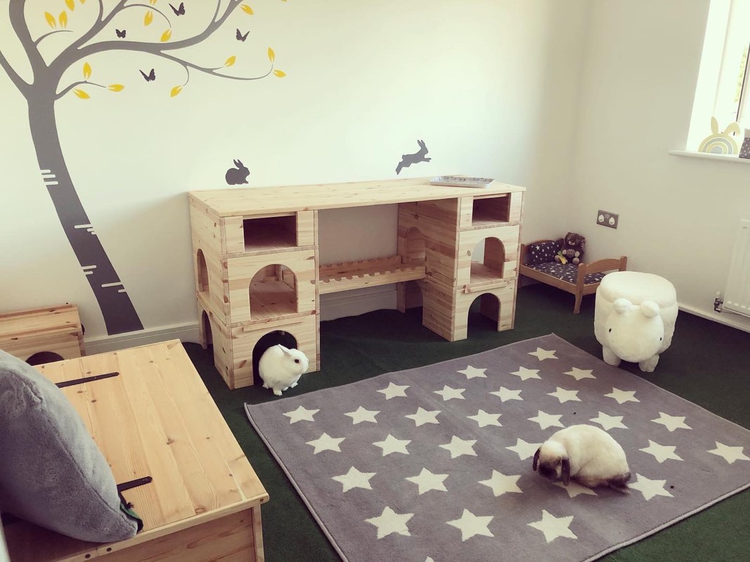 The Modern House Rabbit – The Rabbit Residence Rescue