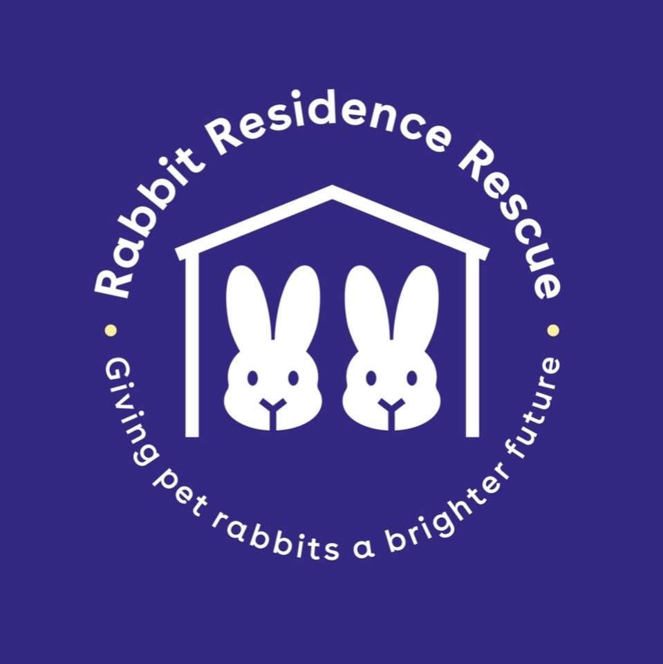 Baby Rabbits – The Rabbit Residence Rescue