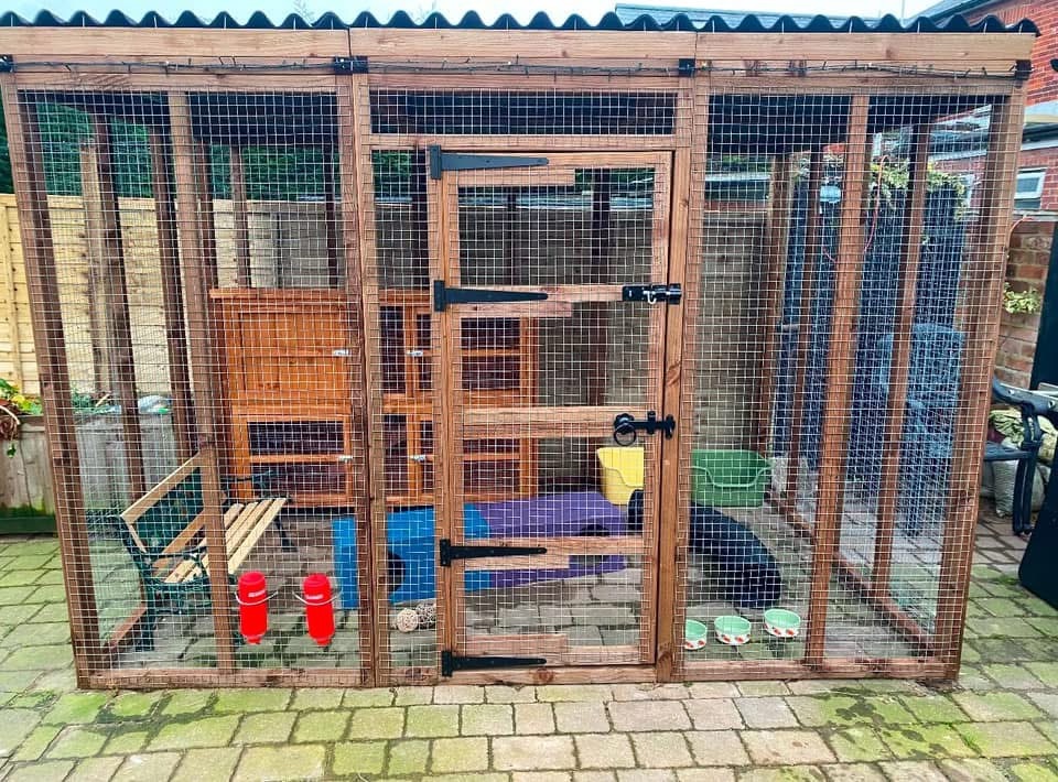 Housing – The Rabbit Residence Rescue